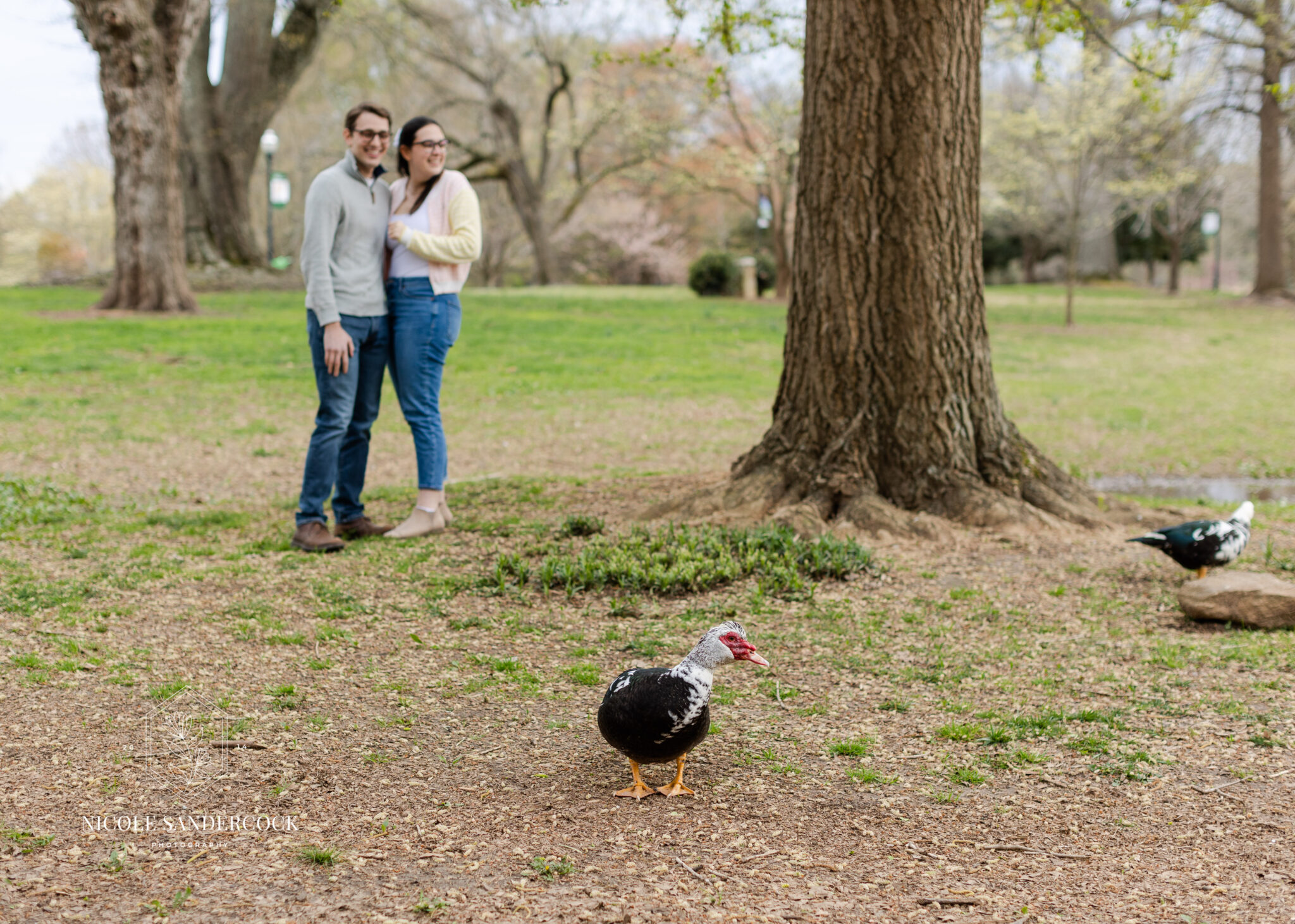 Caroline & Nicholas | Spring Piedmont Park Atlanta Engagement - Nicole ...