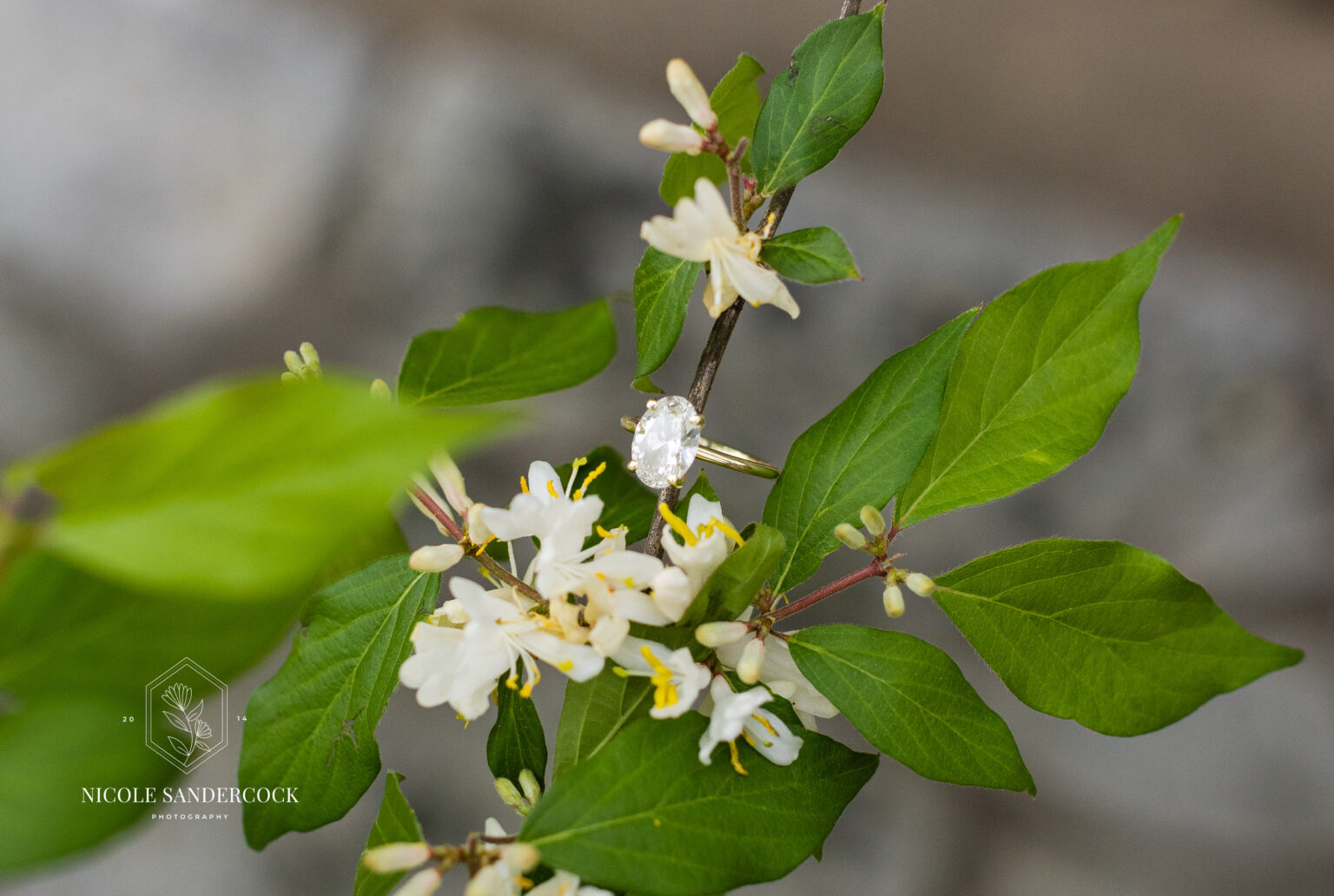 Caroline & Nicholas | Spring Piedmont Park Atlanta Engagement - Nicole ...