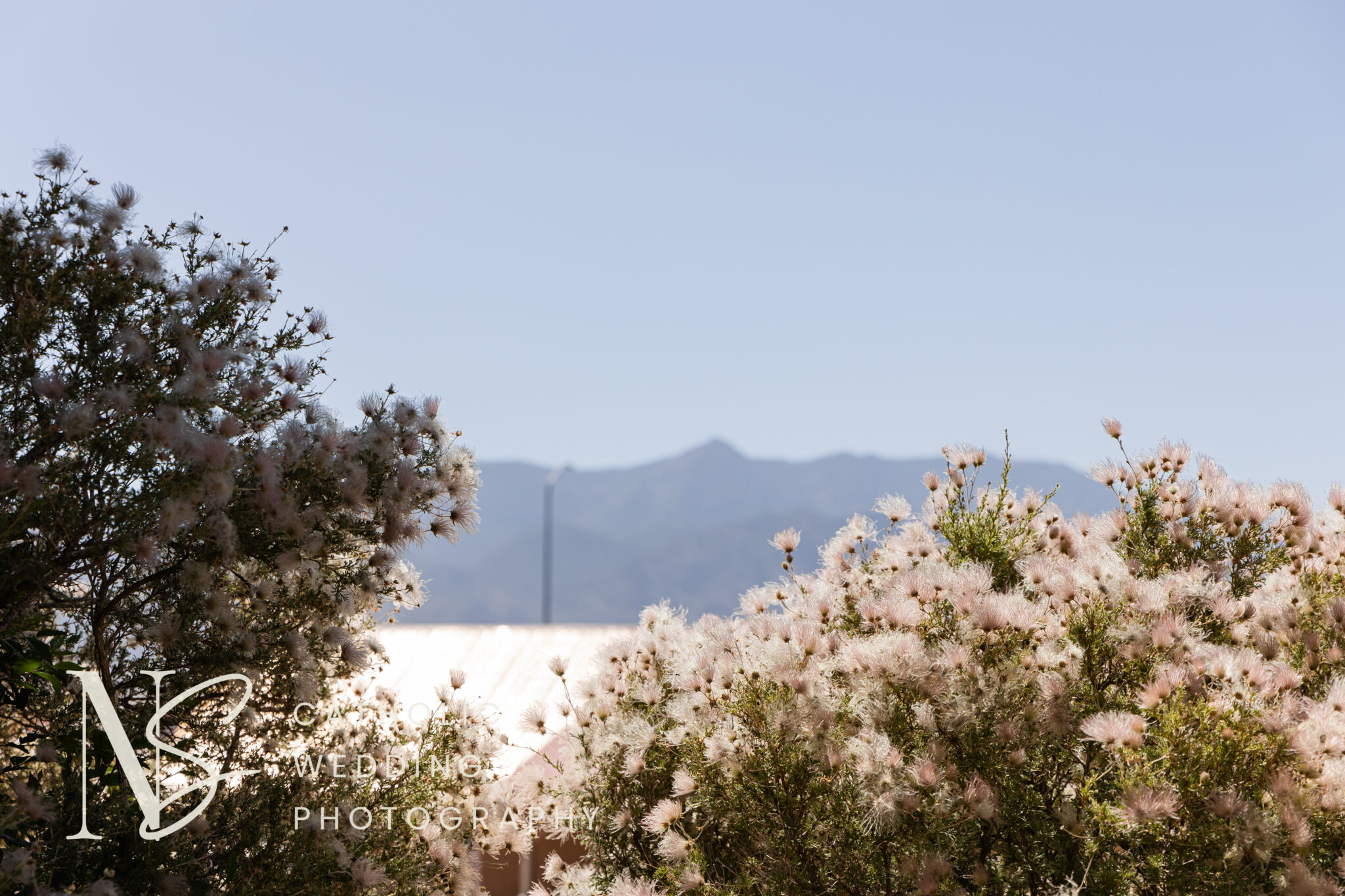 Christina & Adam | Catholic New Mexico Wedding in Albuquerque - Nicole ...